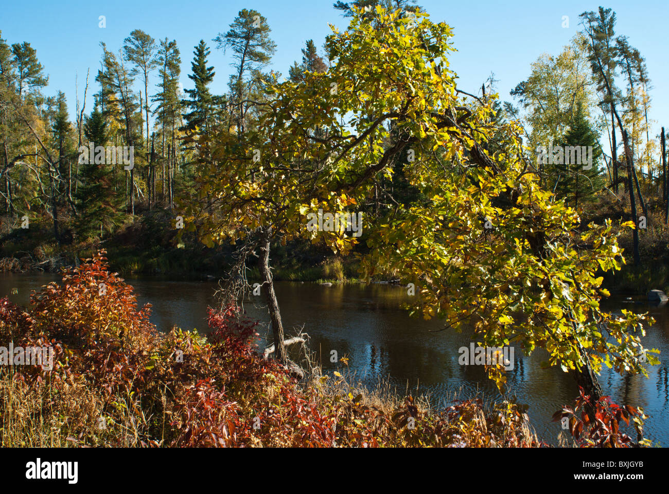 Whiteshell Manitoba Canada Stock Photo - Alamy