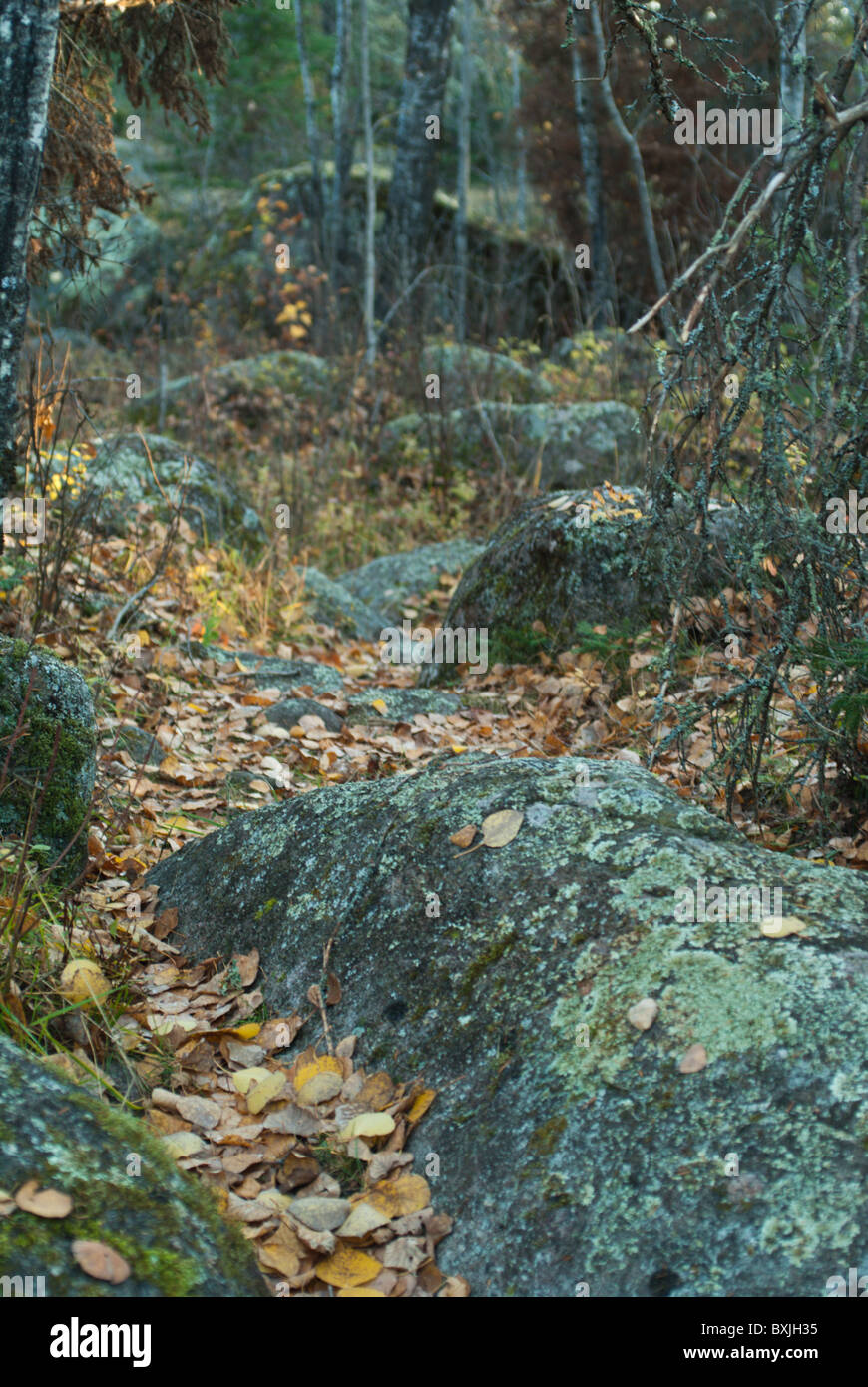 Whiteshell Manitoba Canada Stock Photo - Alamy