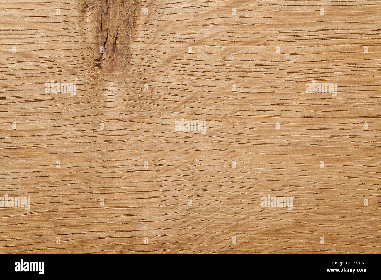 natural Oak Quercus wood texture Stock Photo - Alamy