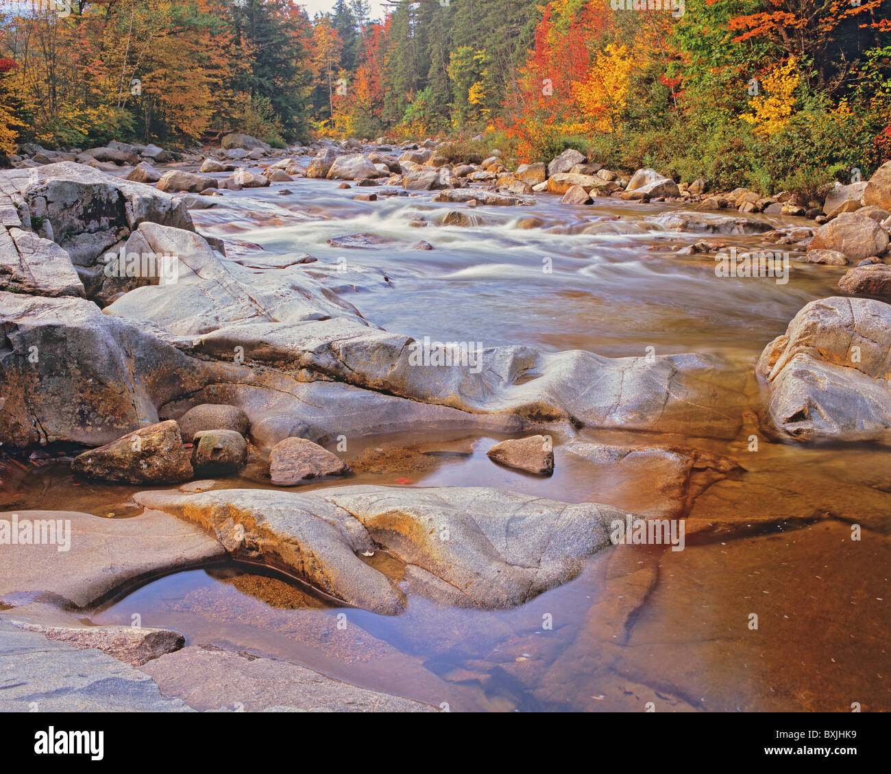 Rocky stream bed of the Swift River in autumn, Rocky Gorge Scenic Area ...