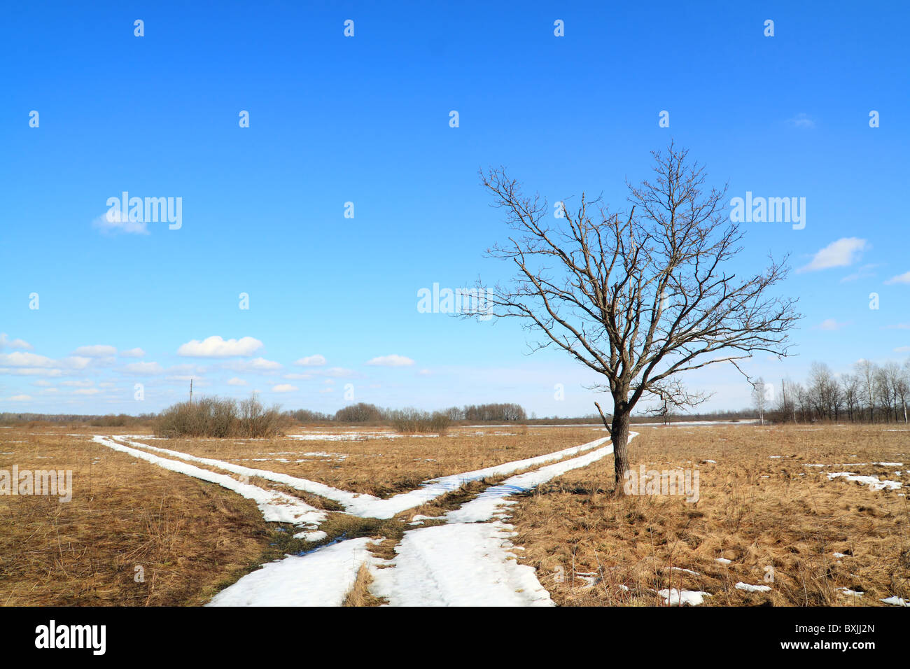 Oak roads hi-res stock photography and images - Alamy
