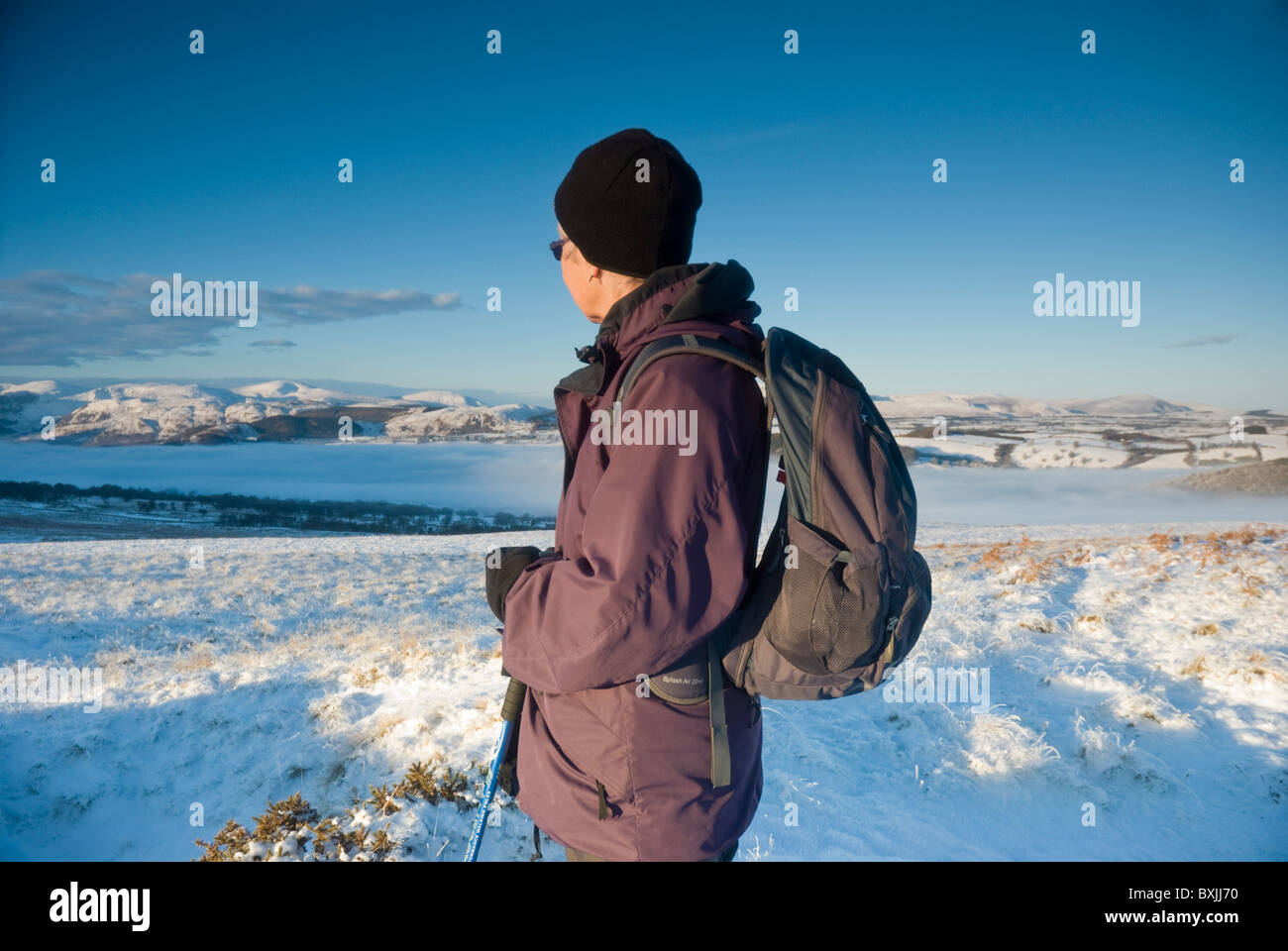 Old lady walker hi-res stock photography and images - Alamy