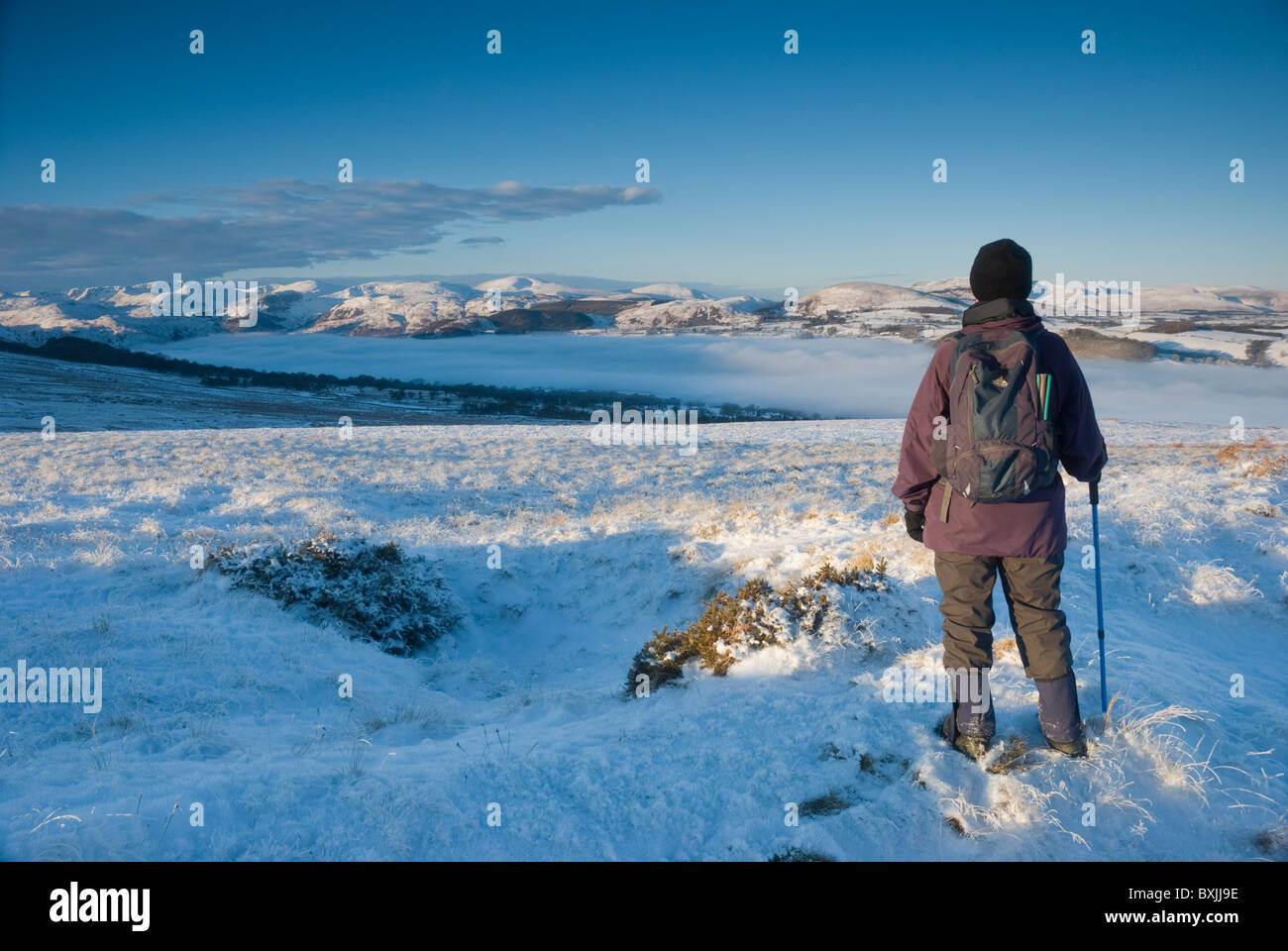 Old lady walker hi-res stock photography and images - Alamy