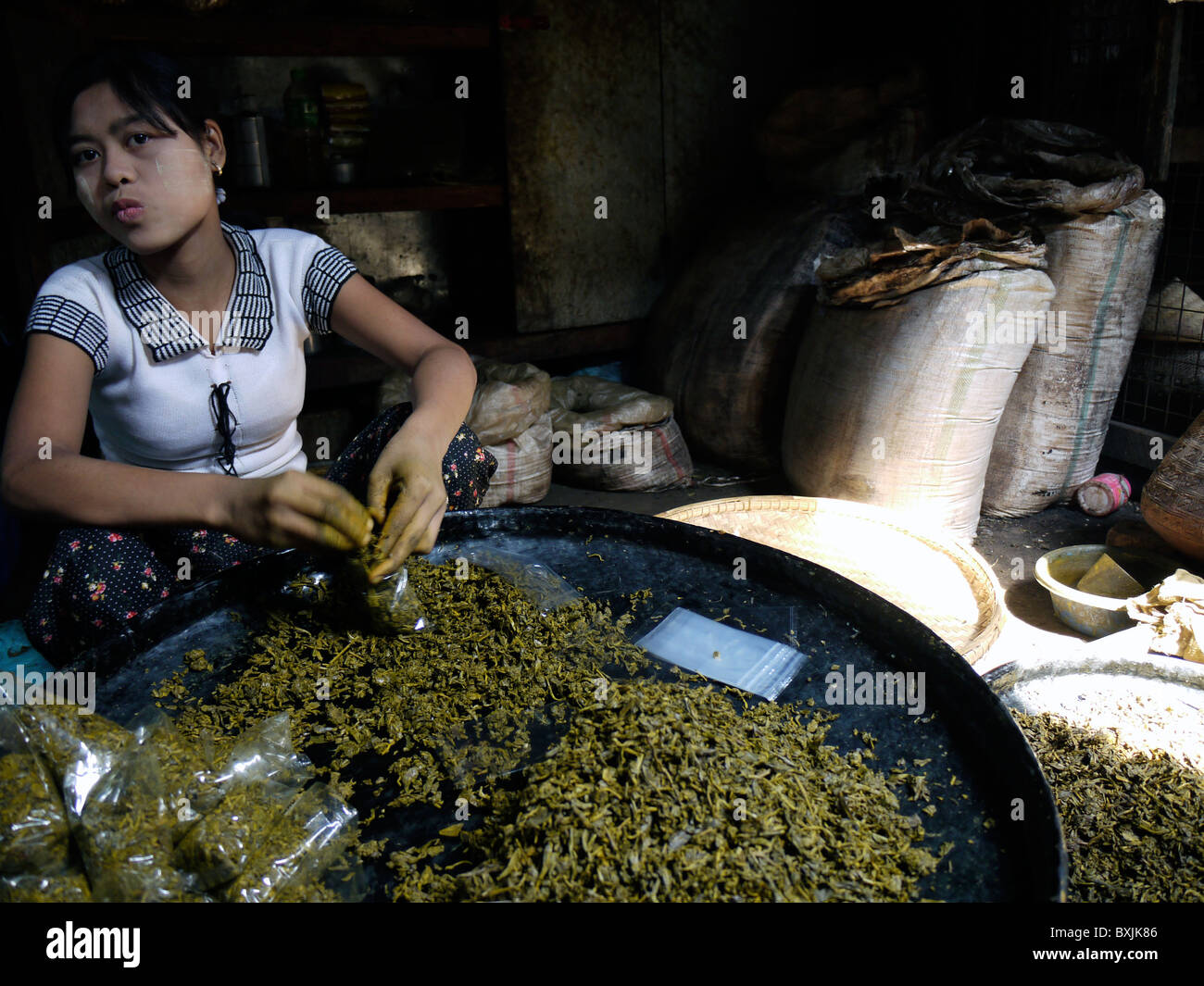 Women packing pickled tea leaves at the market Bagan Burma Myanmar ...