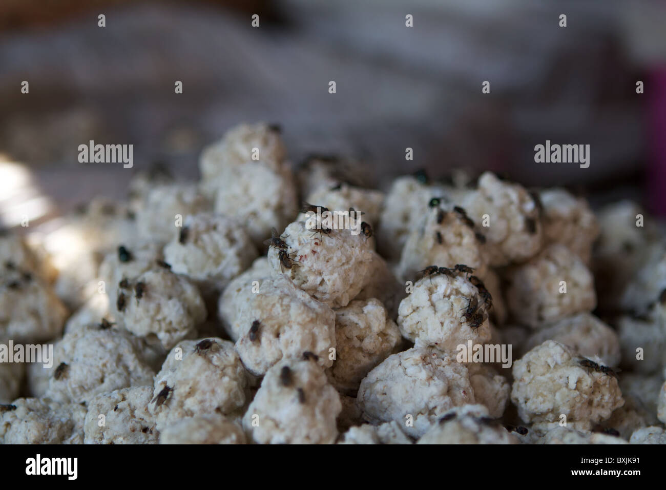 flies on a burmese food Stock Photo - Alamy