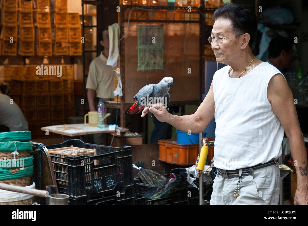 Trader with a bird on his hand at the Bird Market, Mong Kok, Cowloon ...