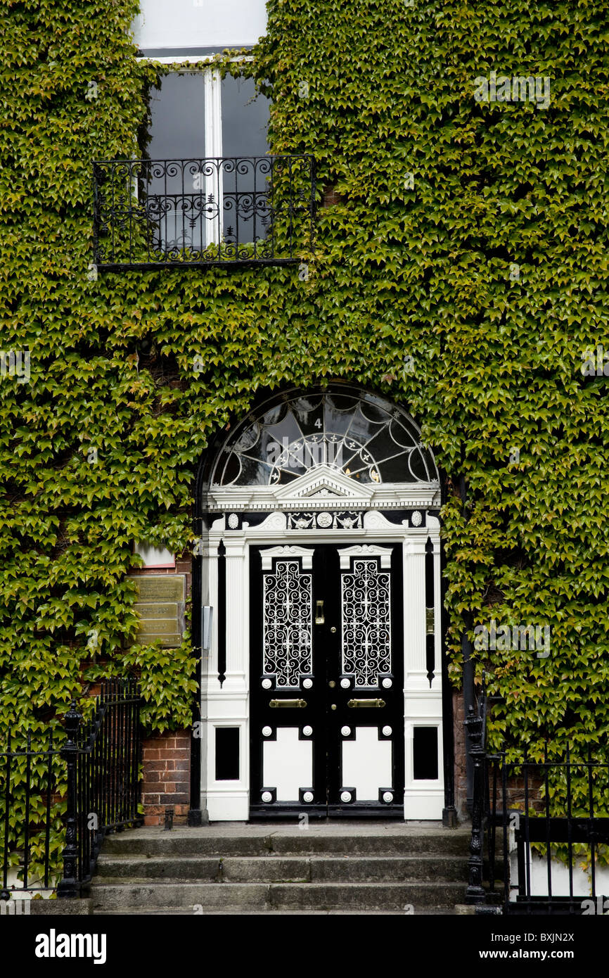 Ivy-covered house in Dublin Ireland Stock Photo - Alamy