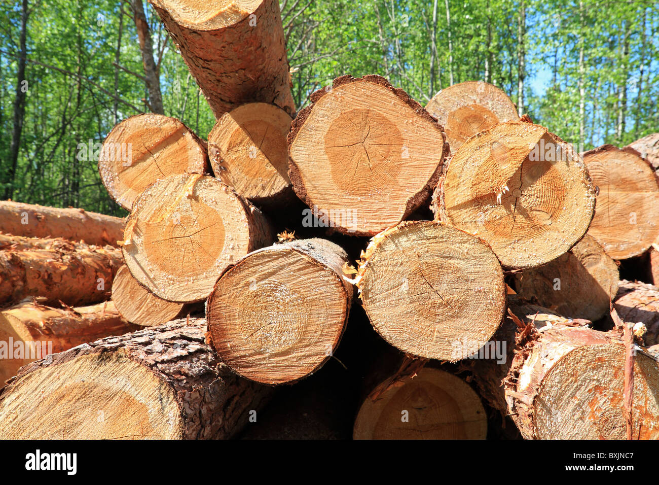 Woo circle hi-res stock photography and images - Alamy