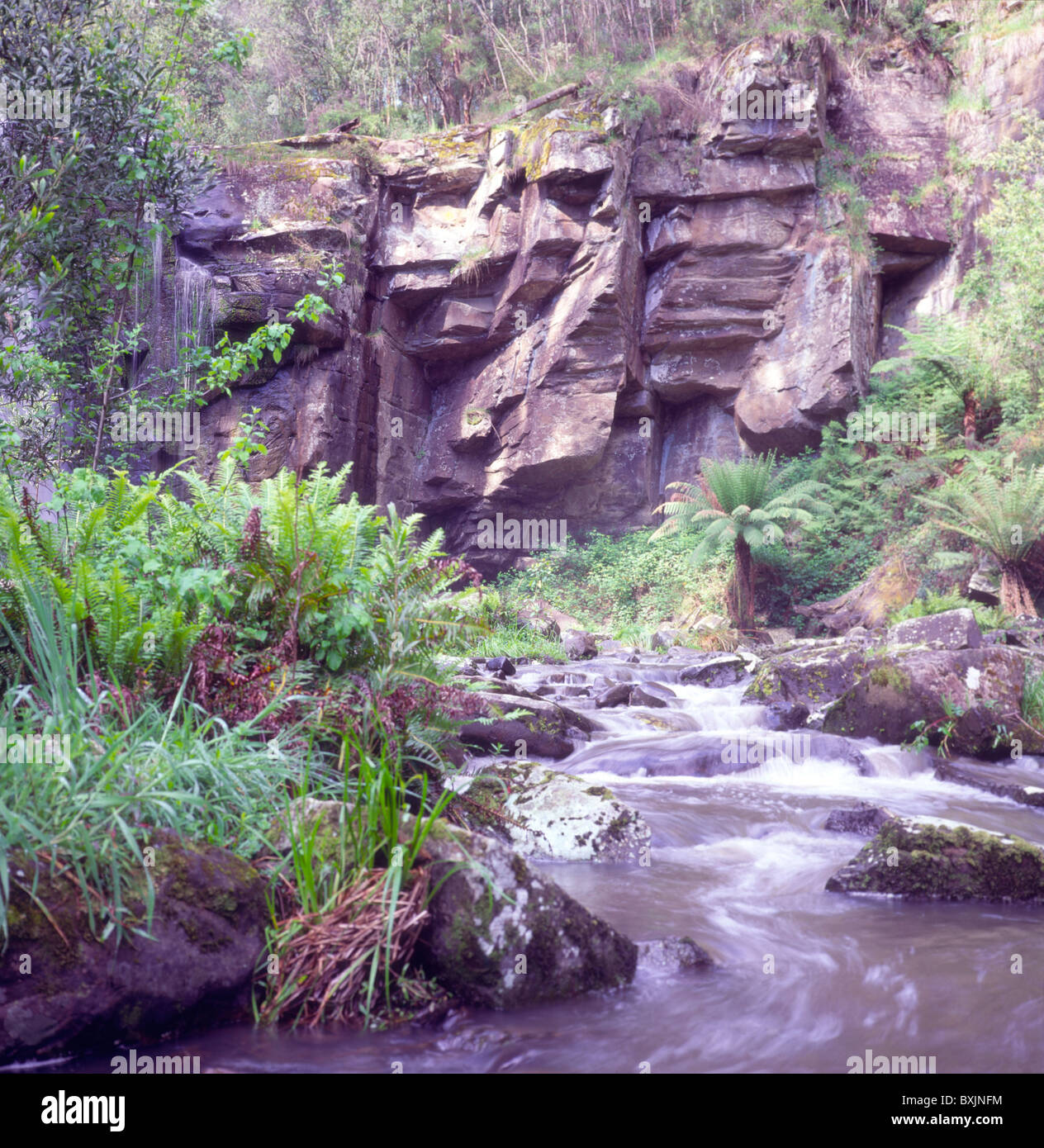 Phantom Falls waterfall Lorne Victoria Australia Stock Photo - Alamy