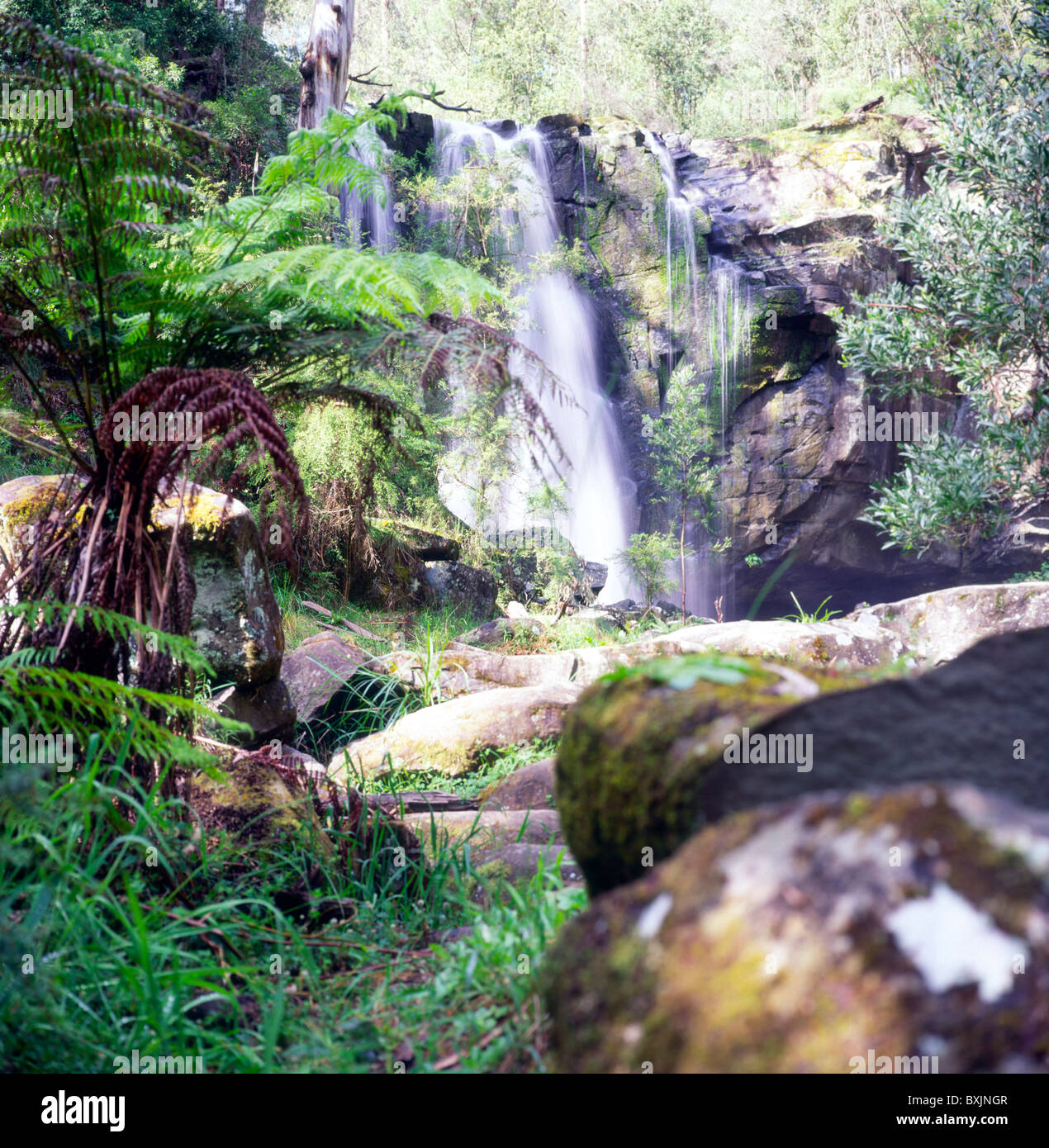 Phantom Falls waterfall Lorne Victoria Australia Stock Photo - Alamy