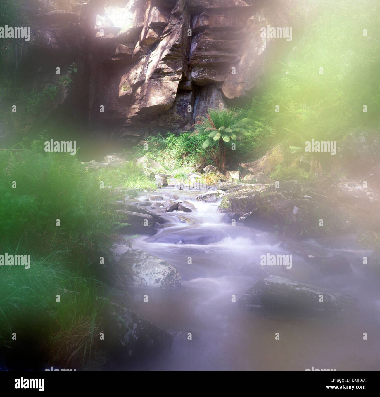 Phantom Falls waterfall Lorne Victoria Australia Stock Photo - Alamy