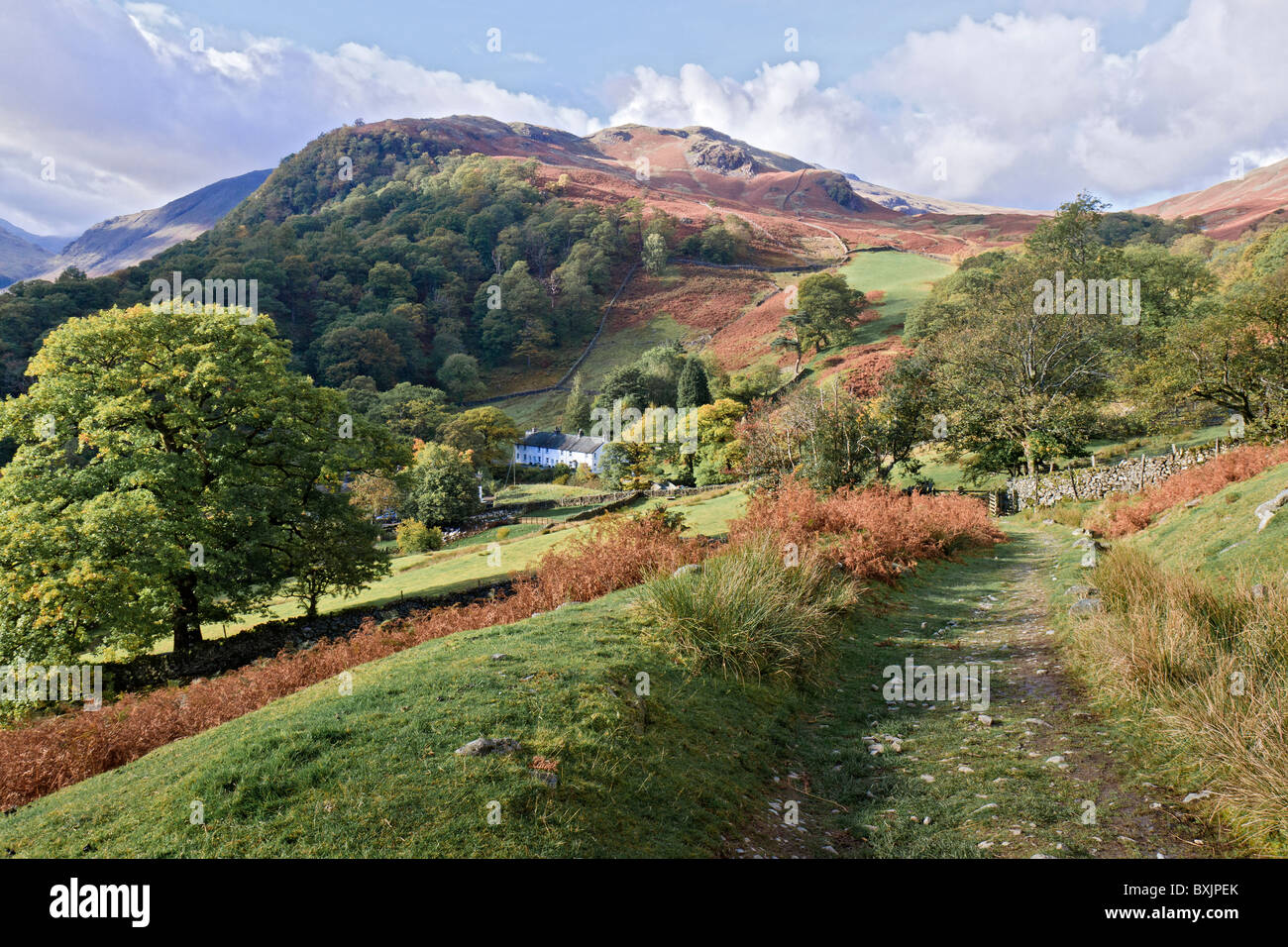 UK Cumbria Borrowdale Valley Stock Photo - Alamy
