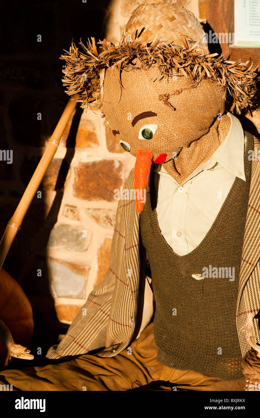 Scarecrow in the Fruit and Vegetable garden at RHS Rosemoor in November ...