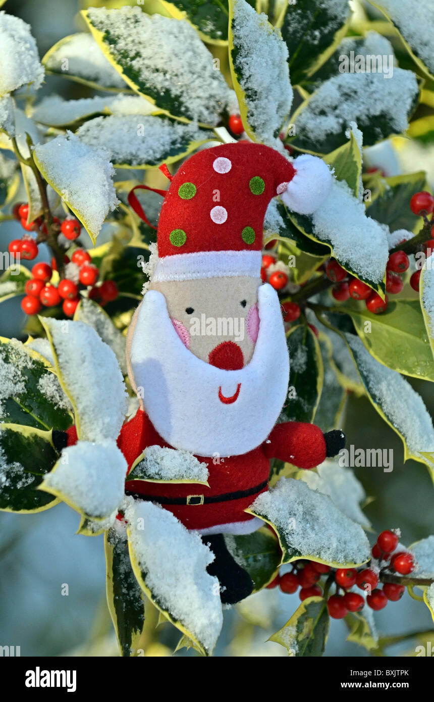 Mistletoe santa hat hi-res stock photography and images - Alamy
