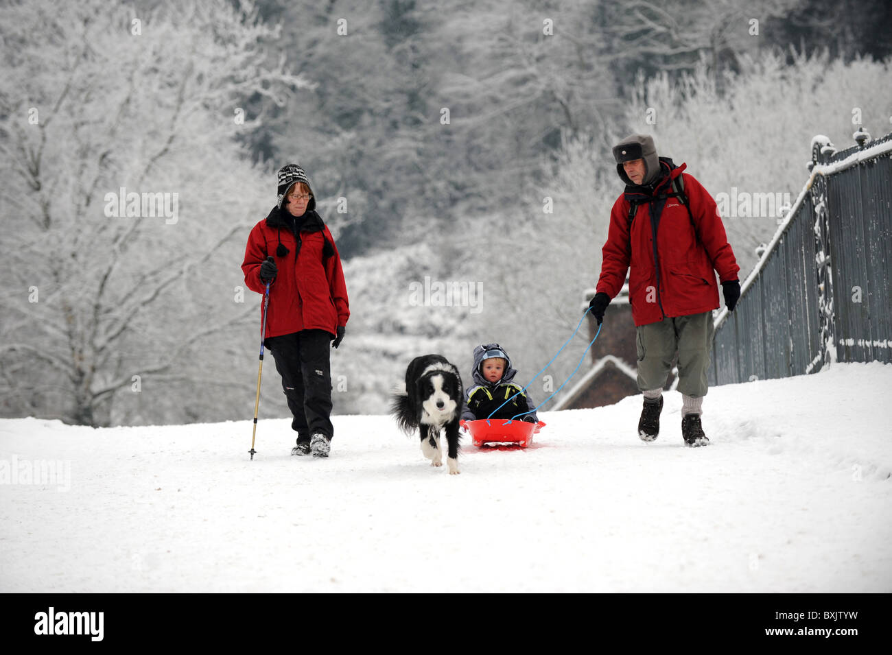 Family walking in the snow with child in a sledge crossing The ...