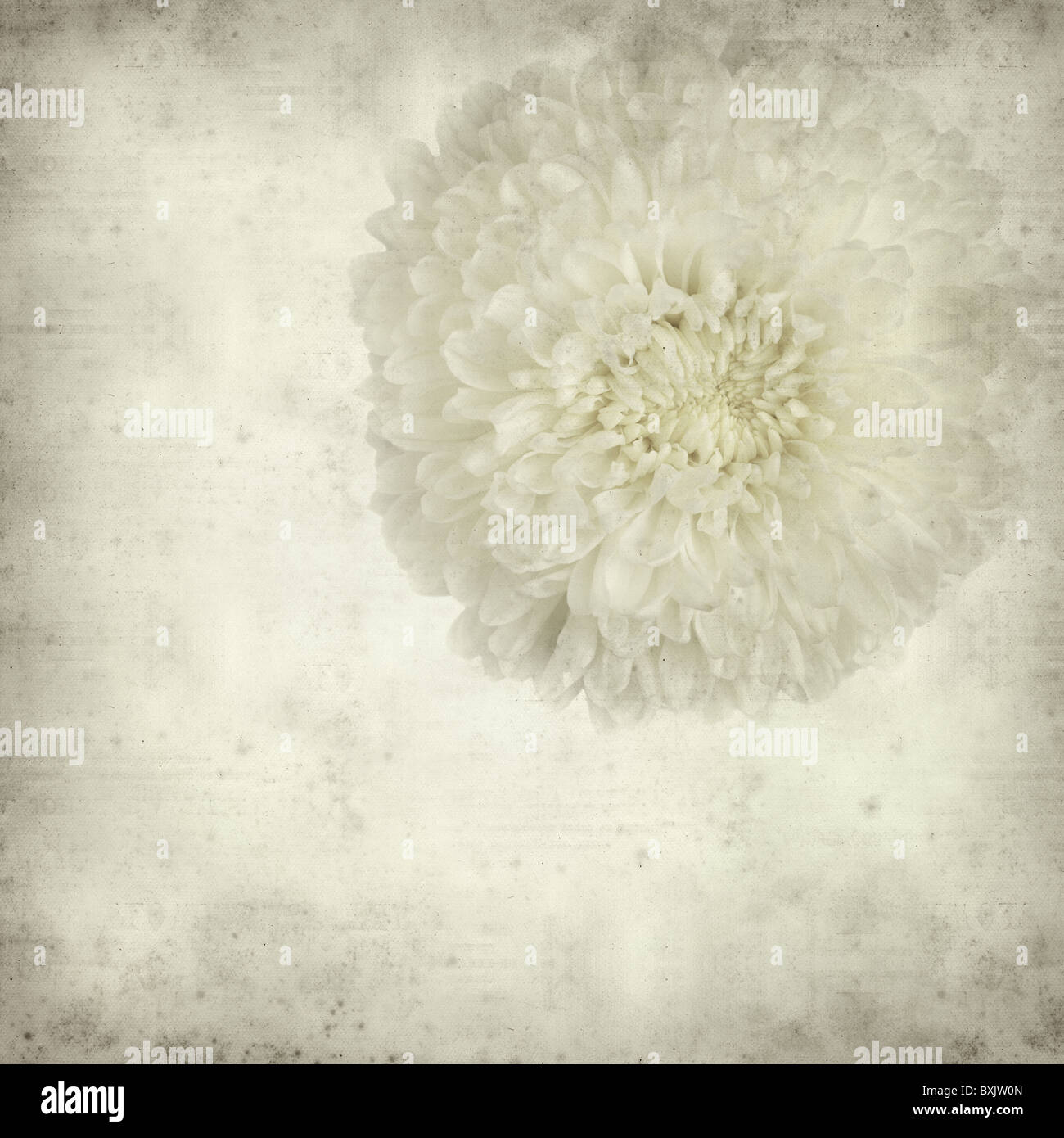 Aged old paper texture square format hi-res stock photography and ...