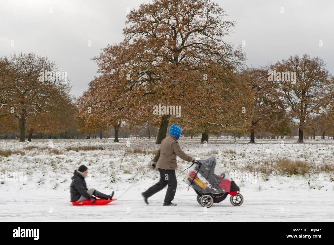 Family walk in the snow, mum is riding in the sledge while Dad pulls it ...