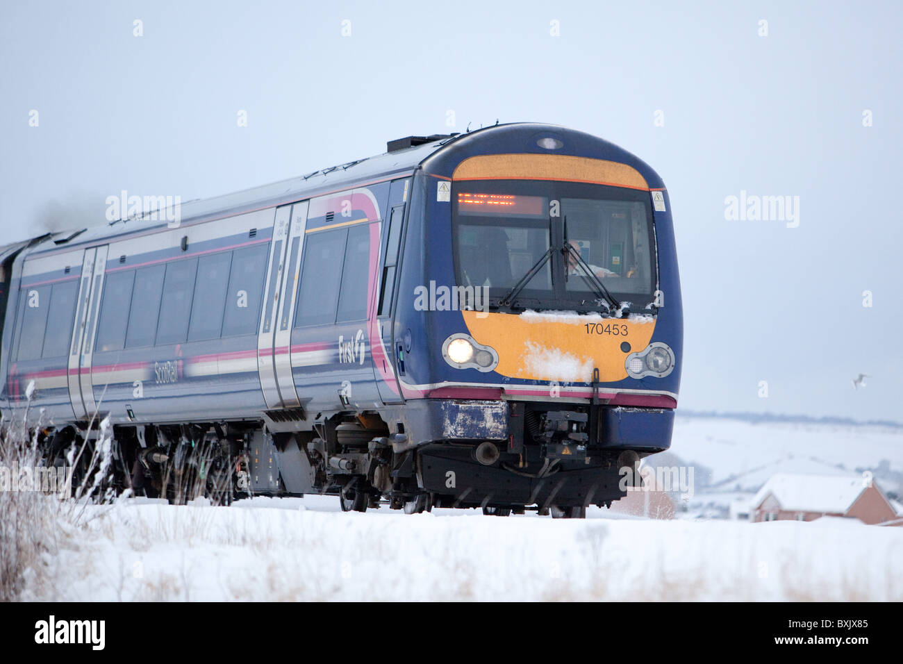 Local commuter train service running in winter scenery Montrose east ...