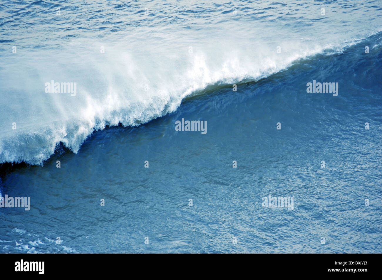 There are many types of ocean waves. Waves differ from each other in ...