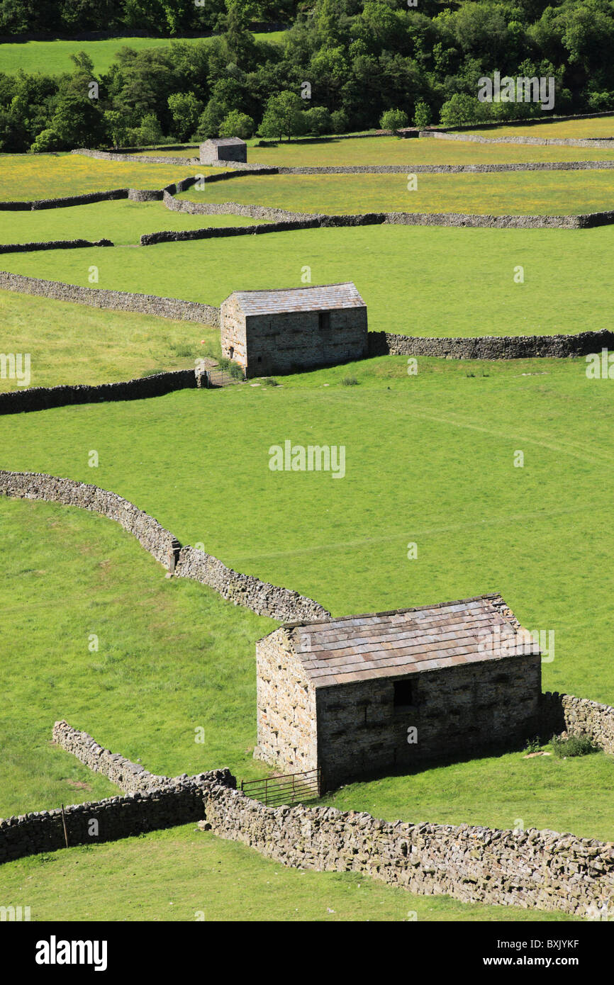 Barns near Gunnerside in the Yorkshire Dales National Park Stock Photo ...