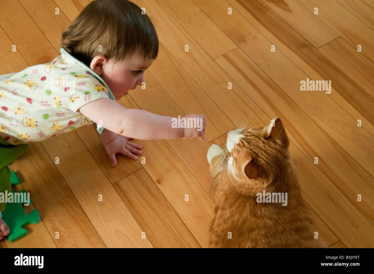 Child interaction cat hi-res stock photography and images - Alamy