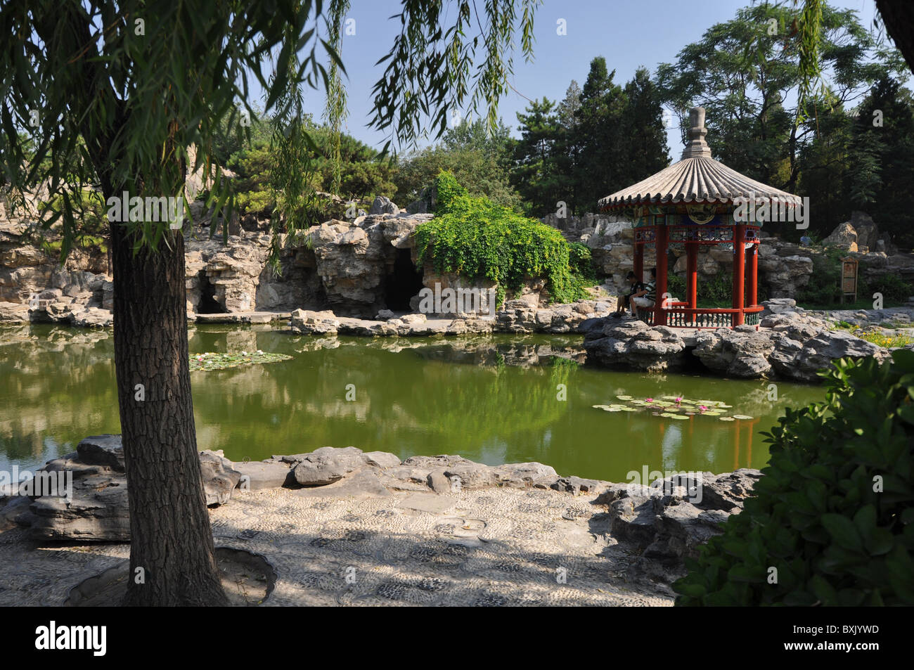 Ri Tan Park, Pond, Tree, Outdoor, Beijing, China Stock Photo - Alamy