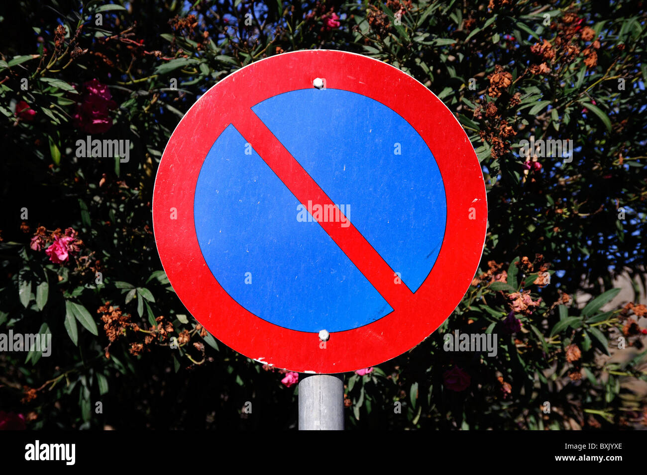 Greek no parking sign Stock Photo - Alamy
