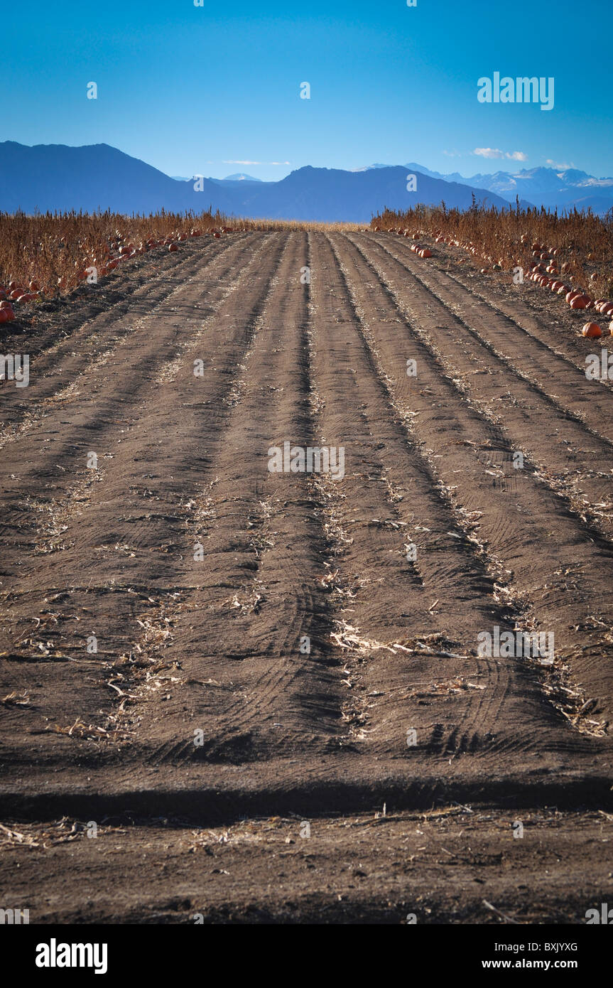 Patch of land hi-res stock photography and images - Alamy