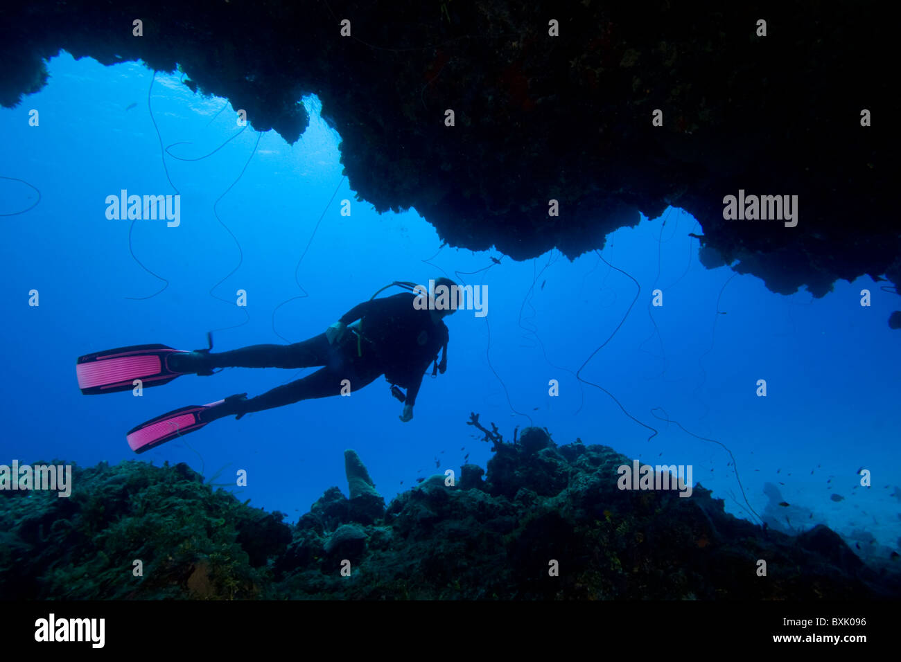 Female Scuba diver exploring Cave Rock, Eleuthera, Bahama Islands Stock ...