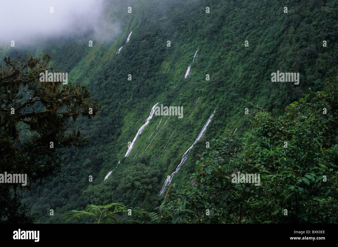 Iyadi cascades moca south bioko island hi-res stock photography and ...