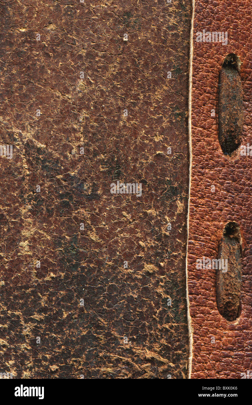 Close-up brown leather with belt texture to background - back side ...