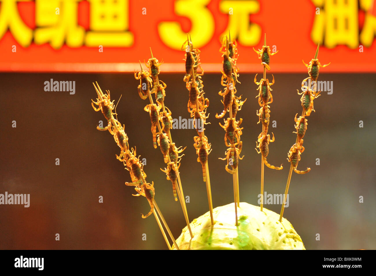Food Market, Scorpion, Starfish, Bat, Beijing, China Stock Photo - Alamy