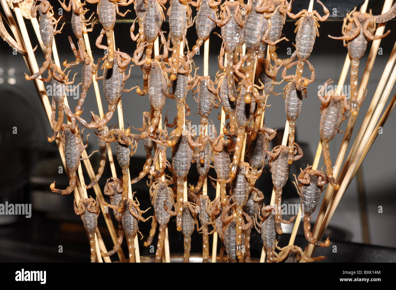 Food Market, Scorpion, Starfish, Bat, Beijing, China Stock Photo - Alamy