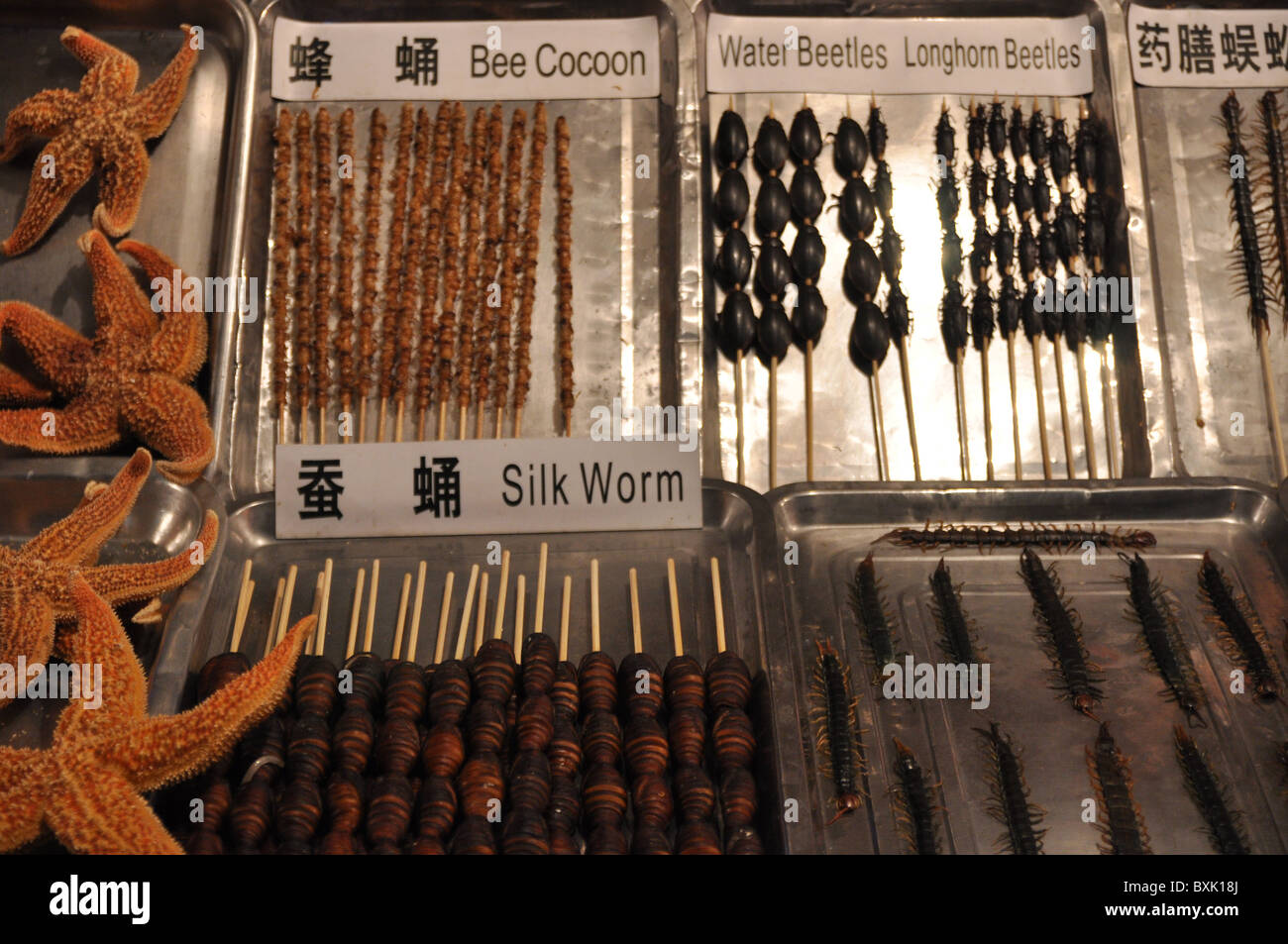 Food Market, Scorpion, Starfish, Bat, Beijing, China Stock Photo - Alamy