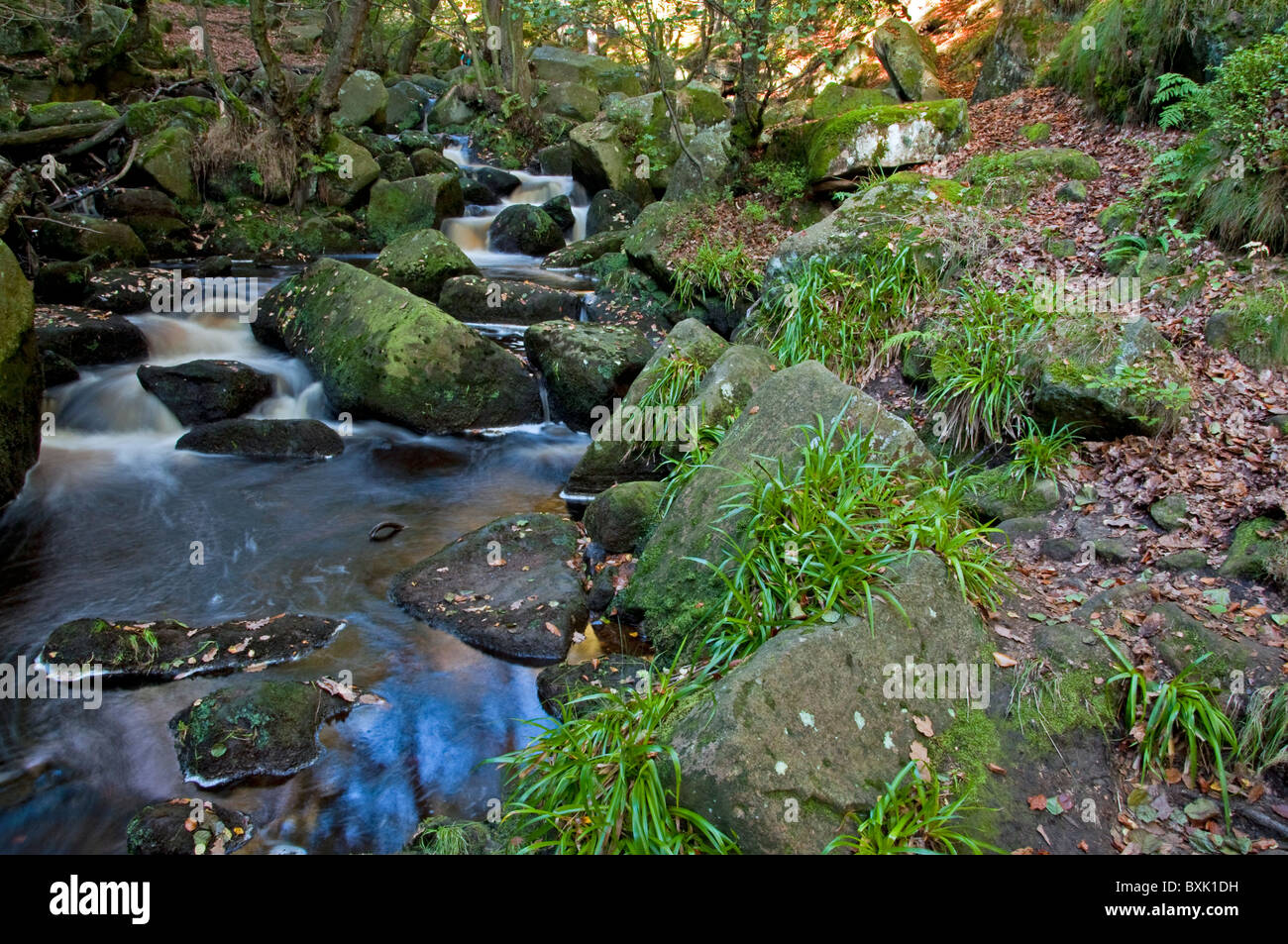 Burbage Brook flowing through Padley Gorge in early Autumn, Peak ...