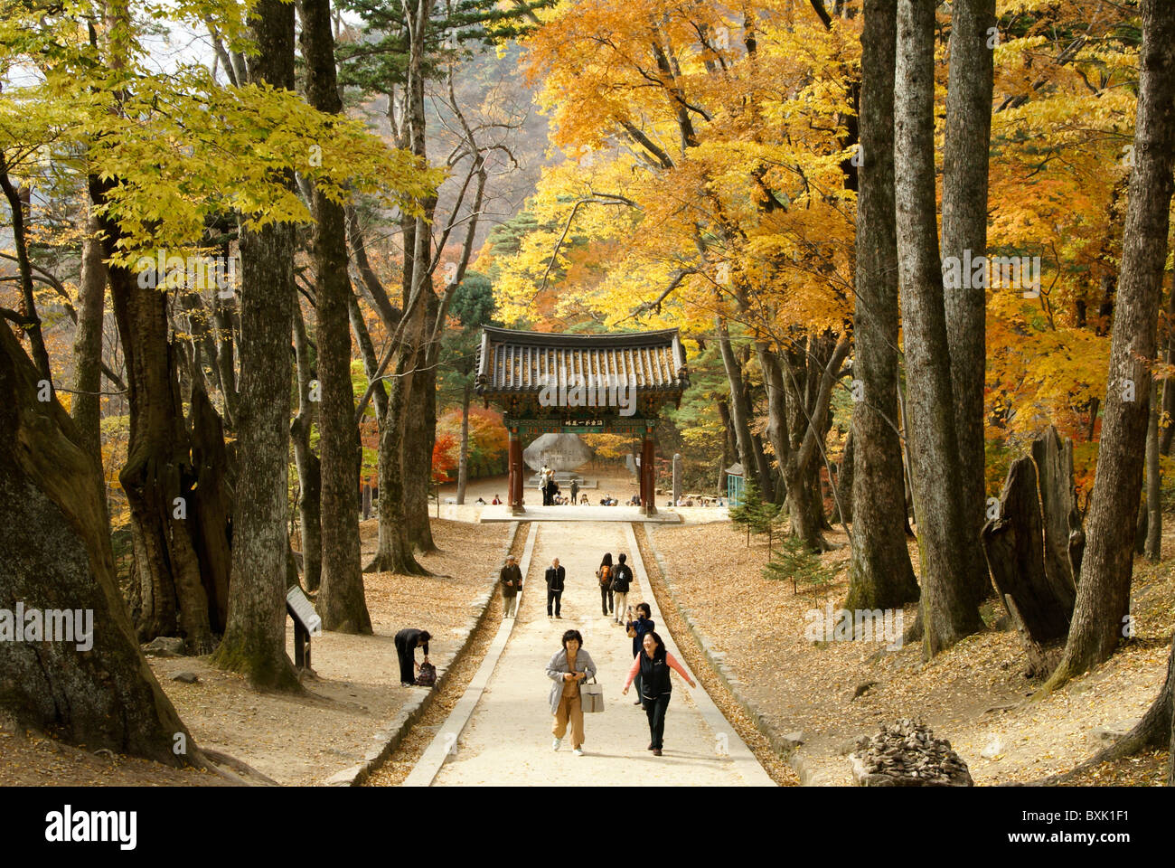 Haeinsa Temple Stock Photos & Haeinsa Temple Stock Images - Alamy