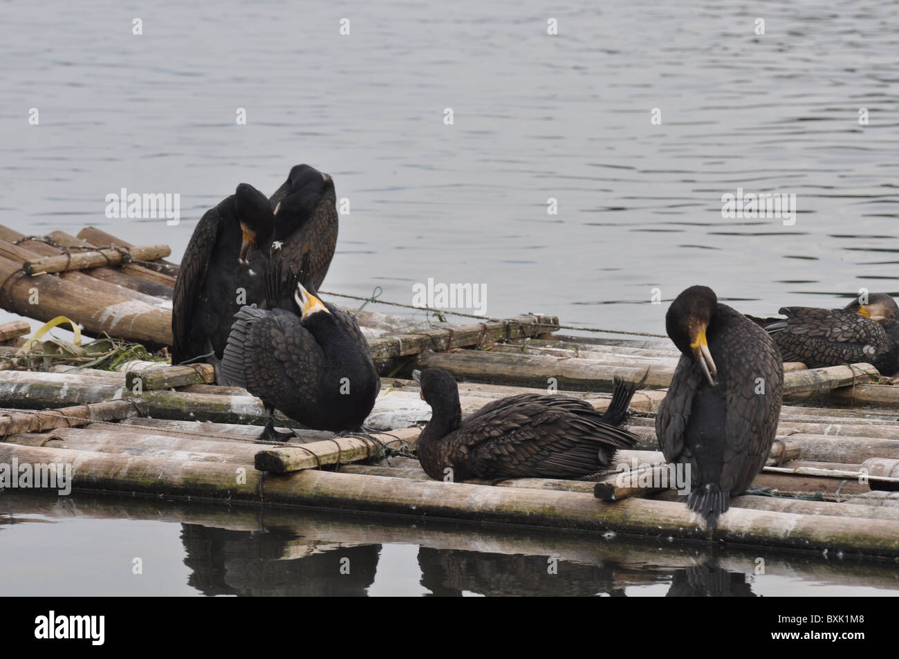 Daxu Ancient Town, Guilin Area, Southern China Stock Photo - Alamy
