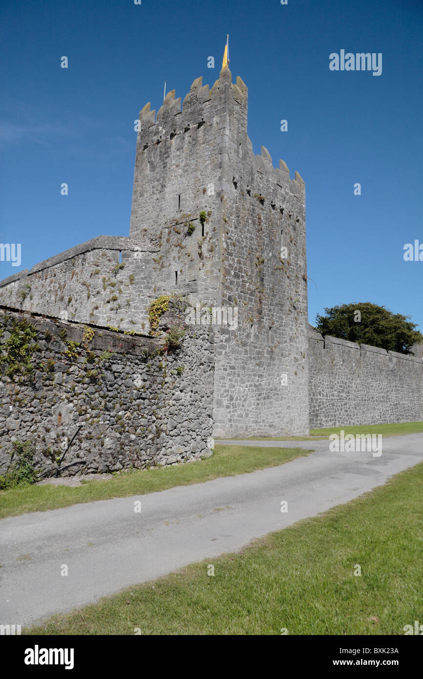 The old medieval wall with the Holy Trinity Church of Ireland church in ...