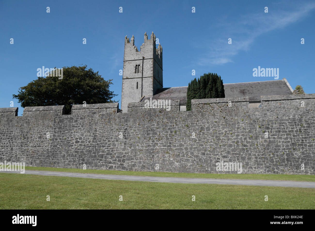 The old medieval wall with the Holy Trinity Church of Ireland church in ...