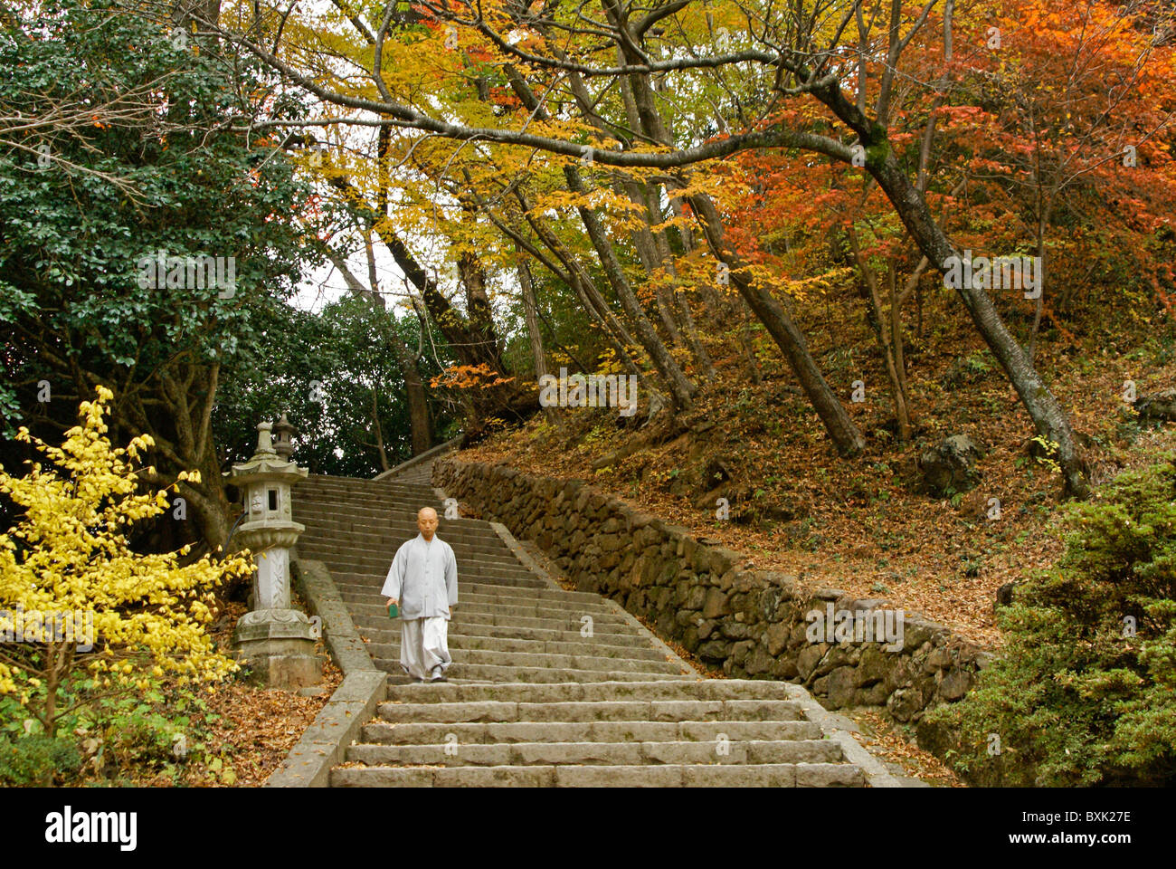Buddhist monk at Hwaeomsa temple, South Korea Stock Photo - Alamy