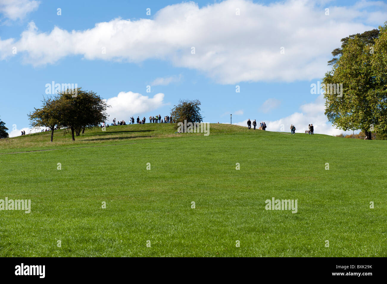 Primrose Hill, London, England, UK Stock Photo - Alamy