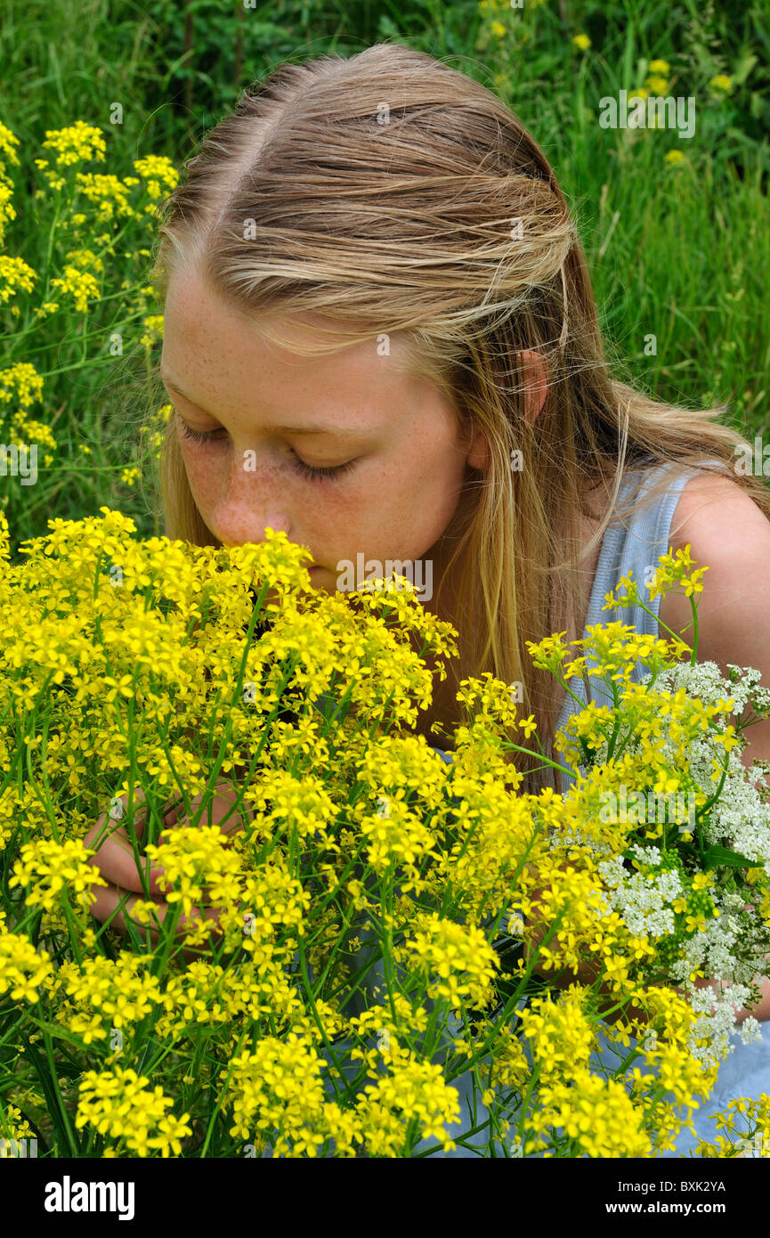 Young girl picking flowers in a field Stock Photo - Alamy