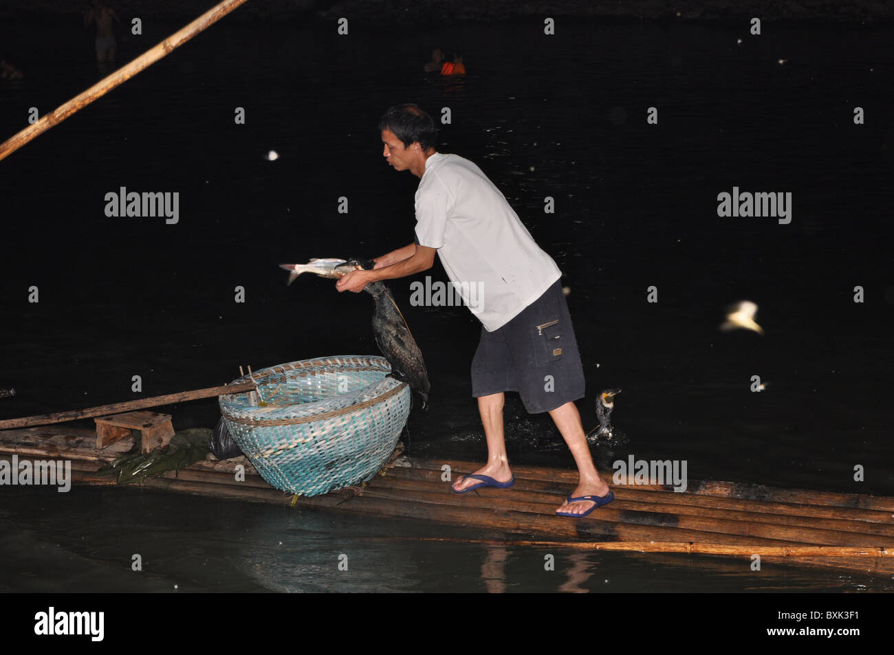 Cormorant Fishing, Li River, Guilin area, Southern China Stock Photo ...
