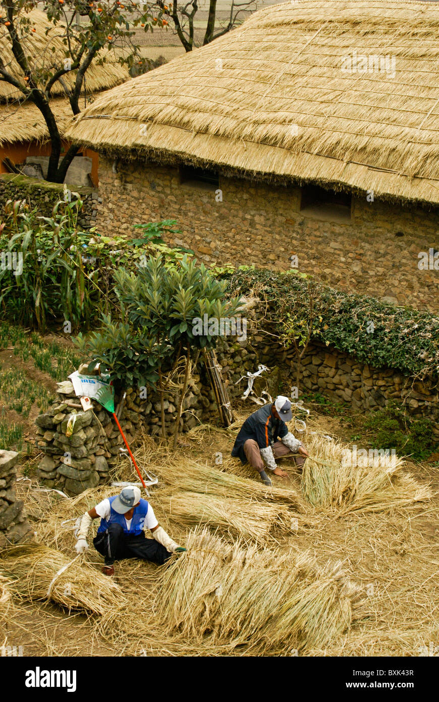 Thatch thatched thatching hi-res stock photography and images - Alamy