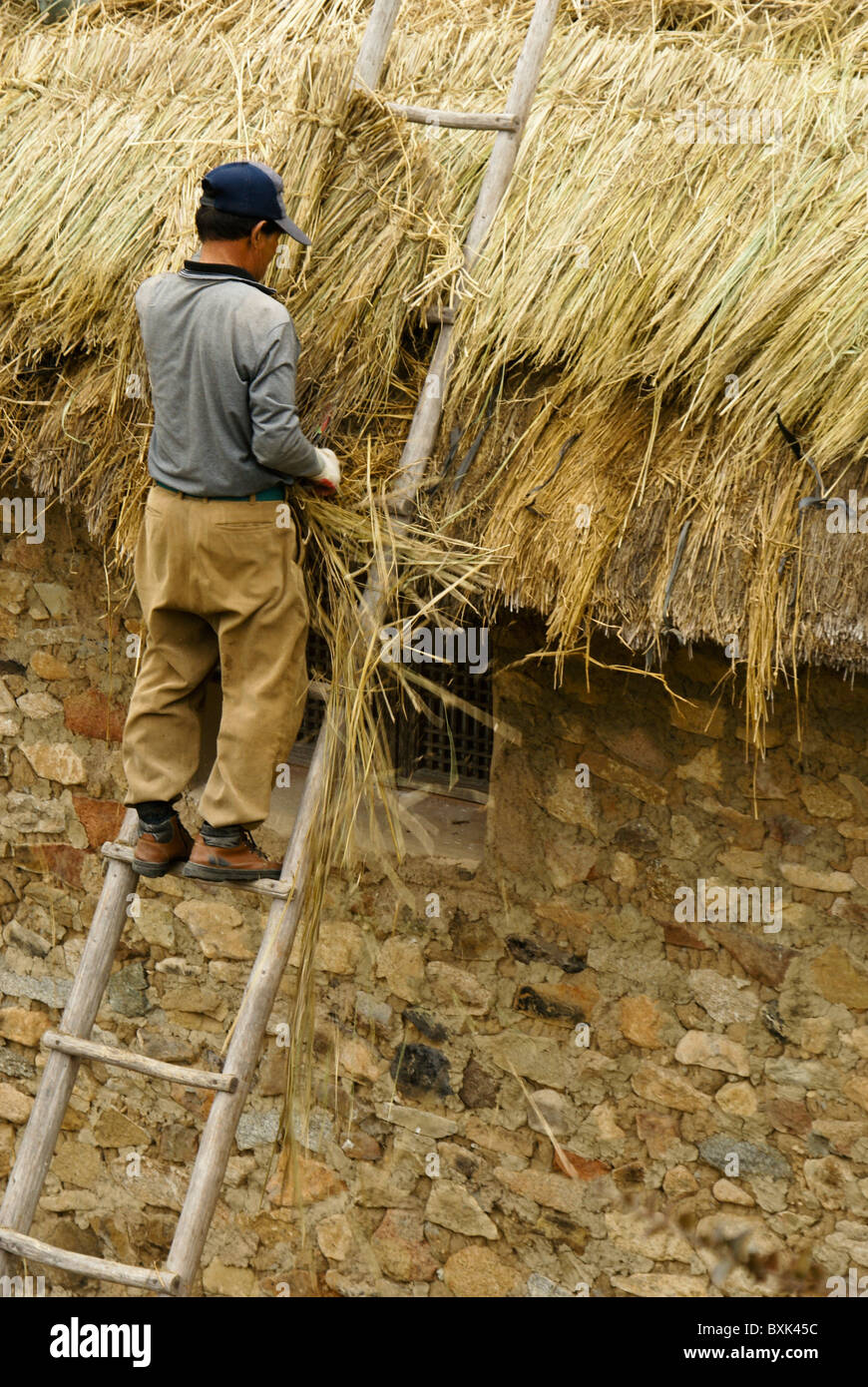 Thatch thatched thatching hi-res stock photography and images - Alamy
