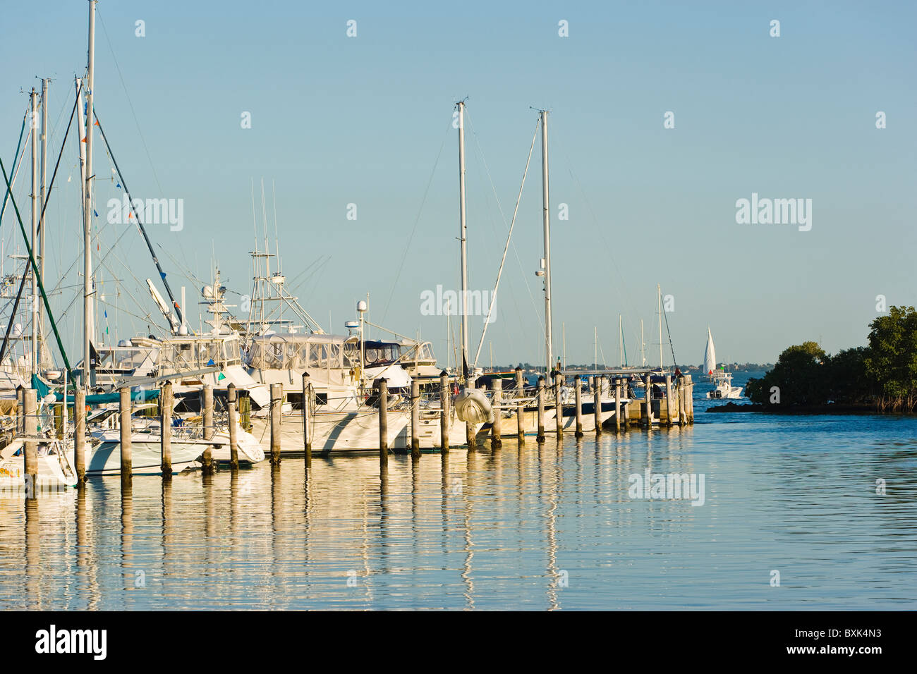 The grove miami hi-res stock photography and images - Alamy
