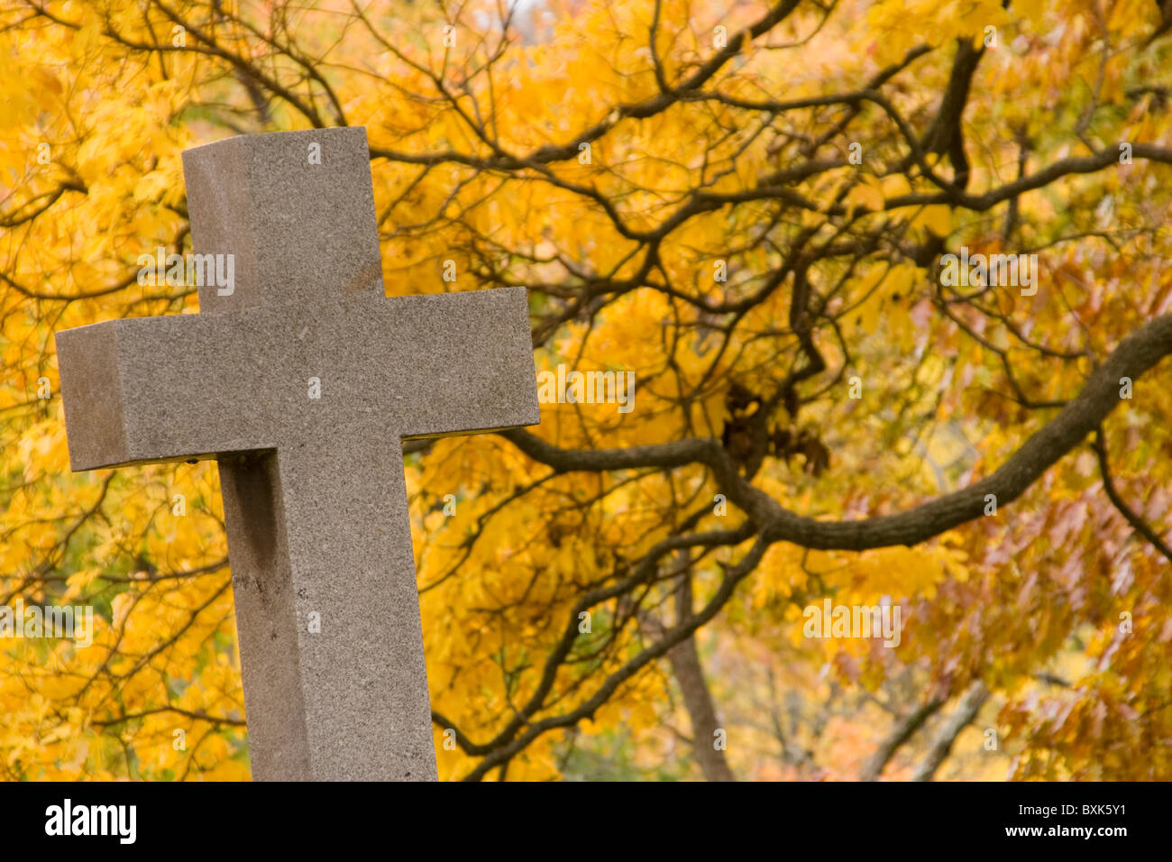 Stone cross with autumn trees background Stock Photo - Alamy