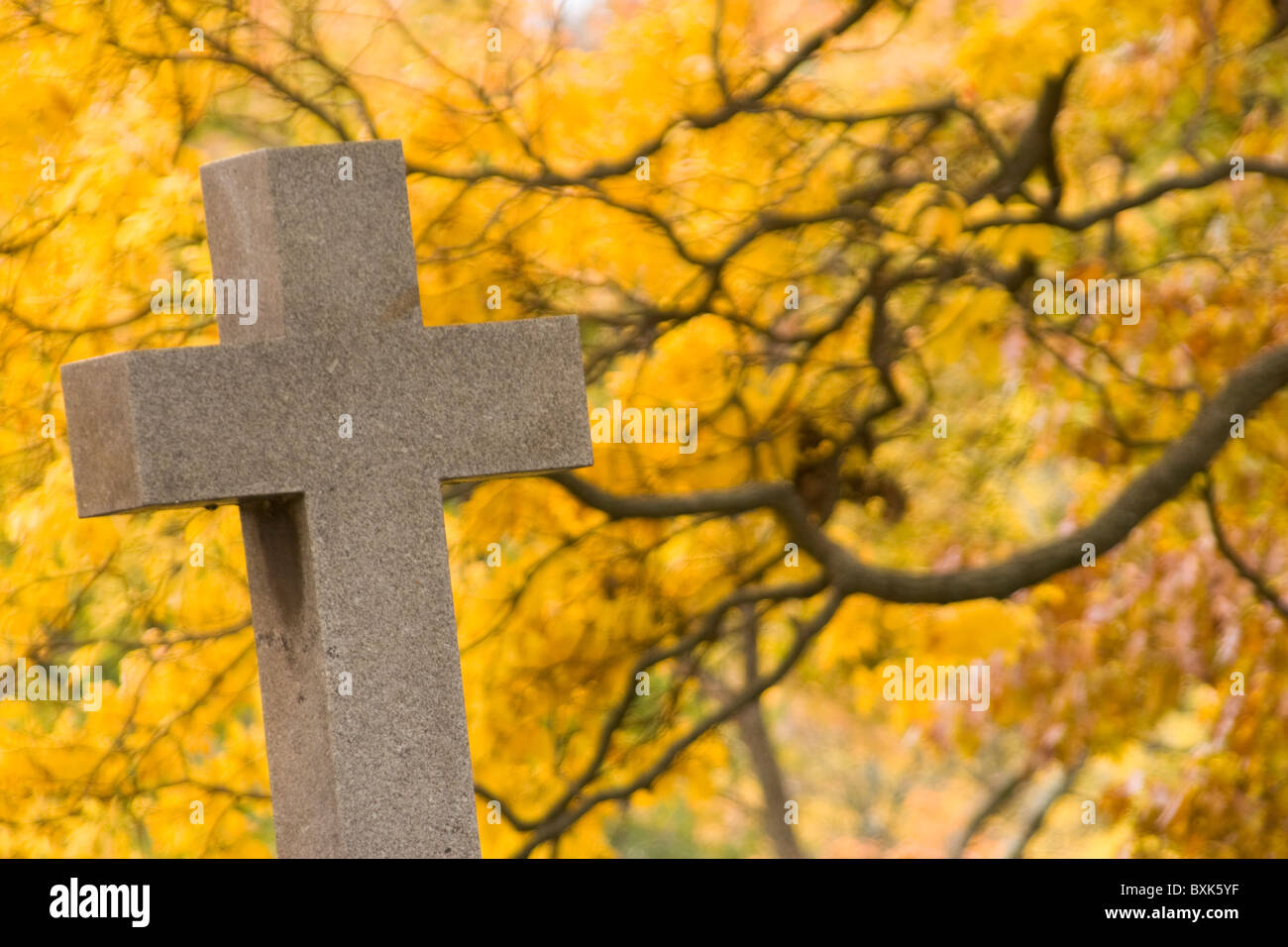 Stone cross with autumn trees background Stock Photo - Alamy