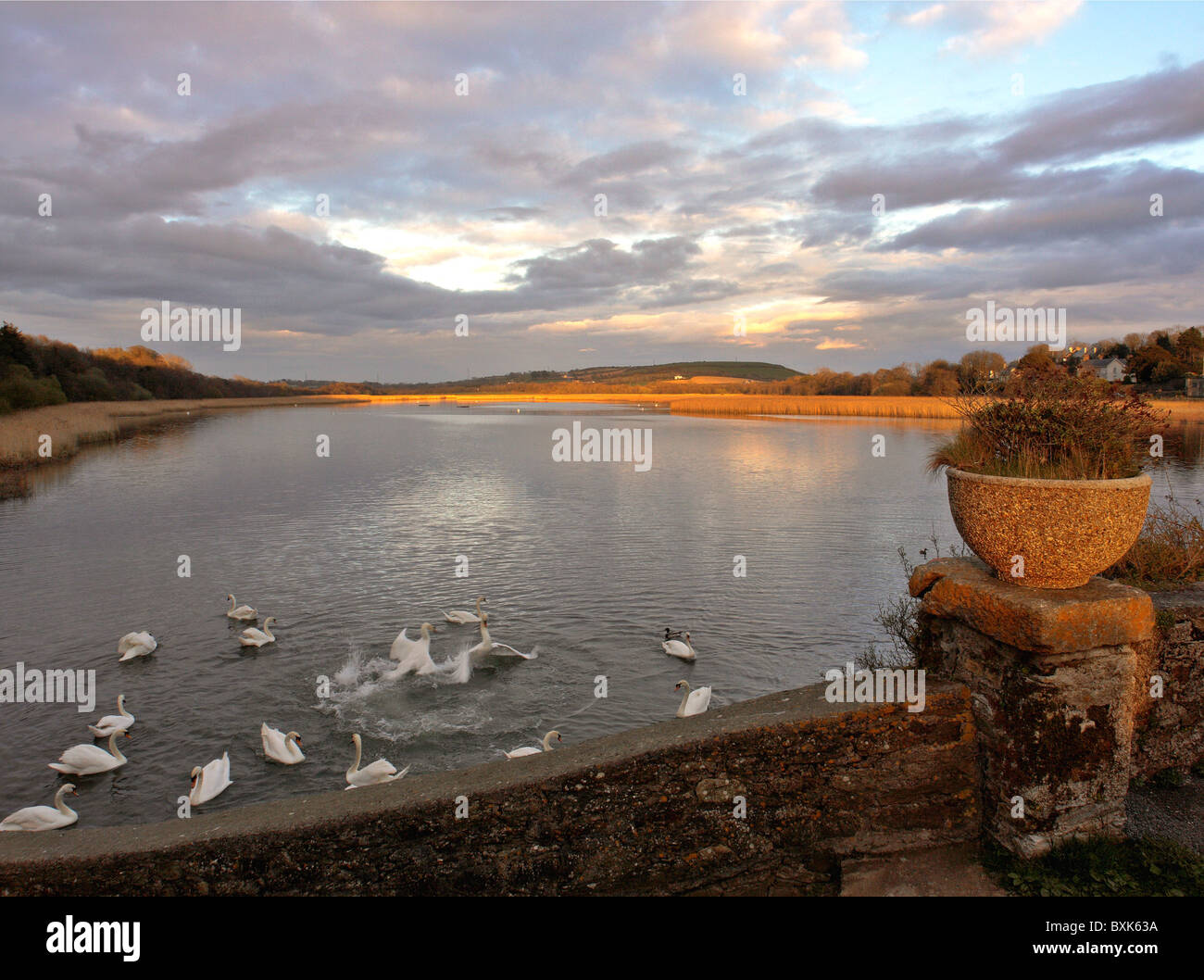 Rostellan Lake County Cork Ireland Stock Photo - Alamy