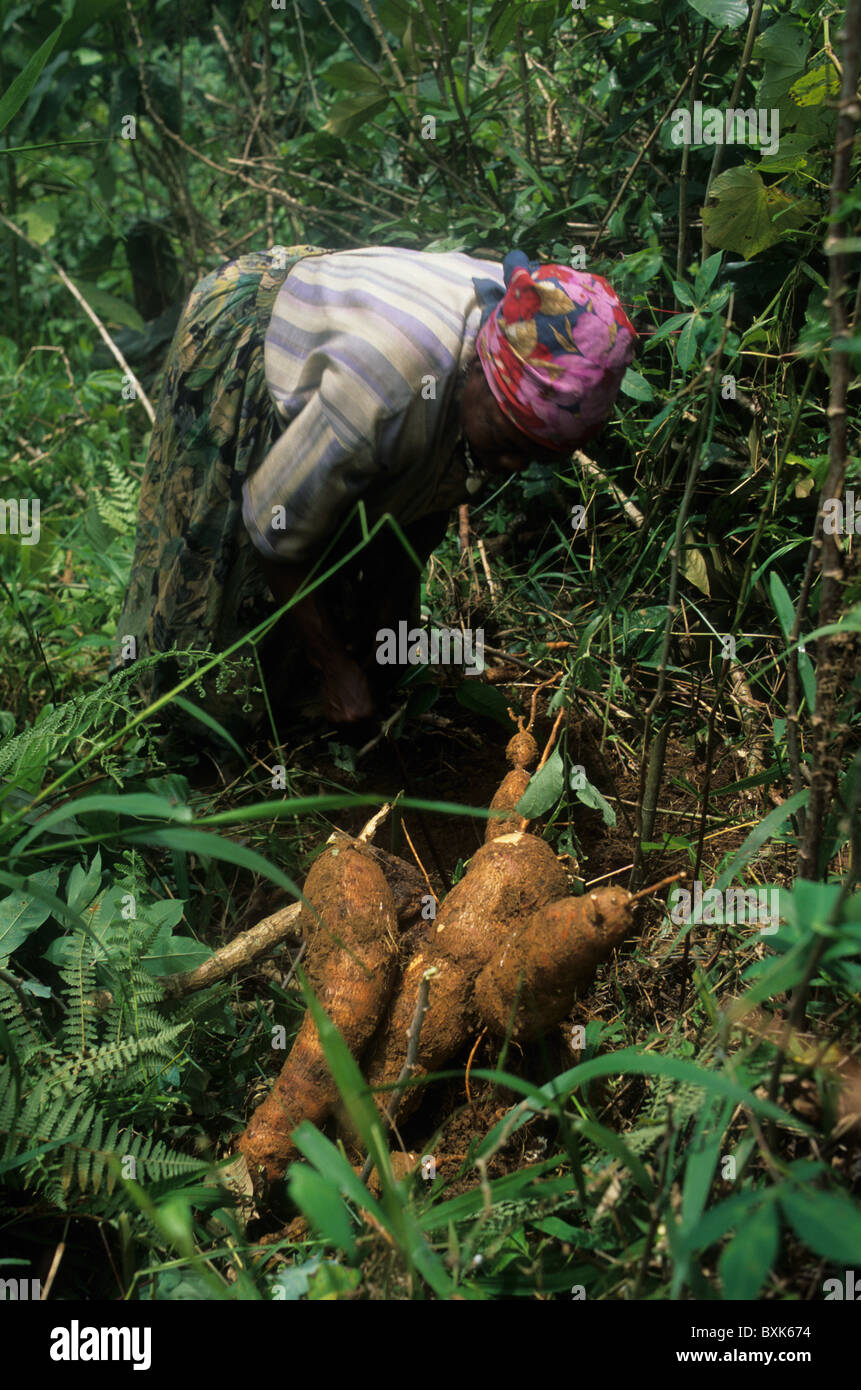 Fang tribe hi-res stock photography and images - Alamy